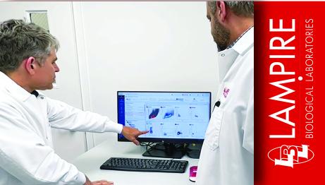 FEATURED SERVICE: MONOCLONAL ANTIBODY GENERATION | Lampire Biological Laboratories, Inc.